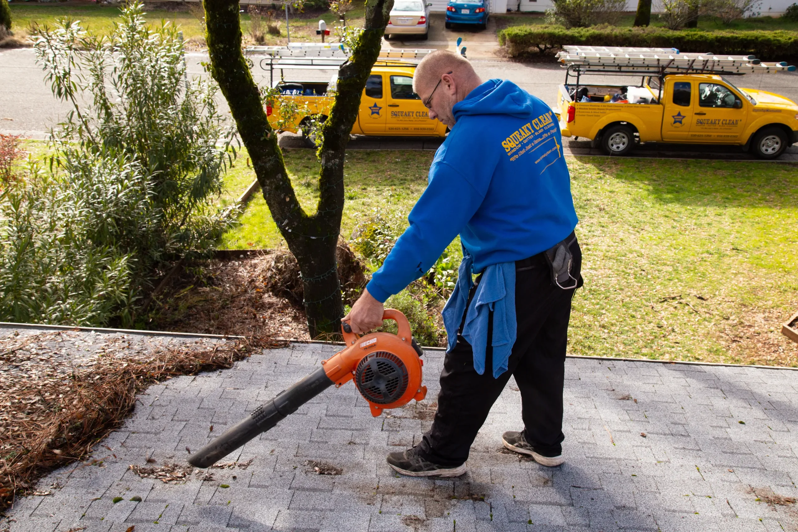 Yard Cleanup and Debris Removal | Squeaky Clean